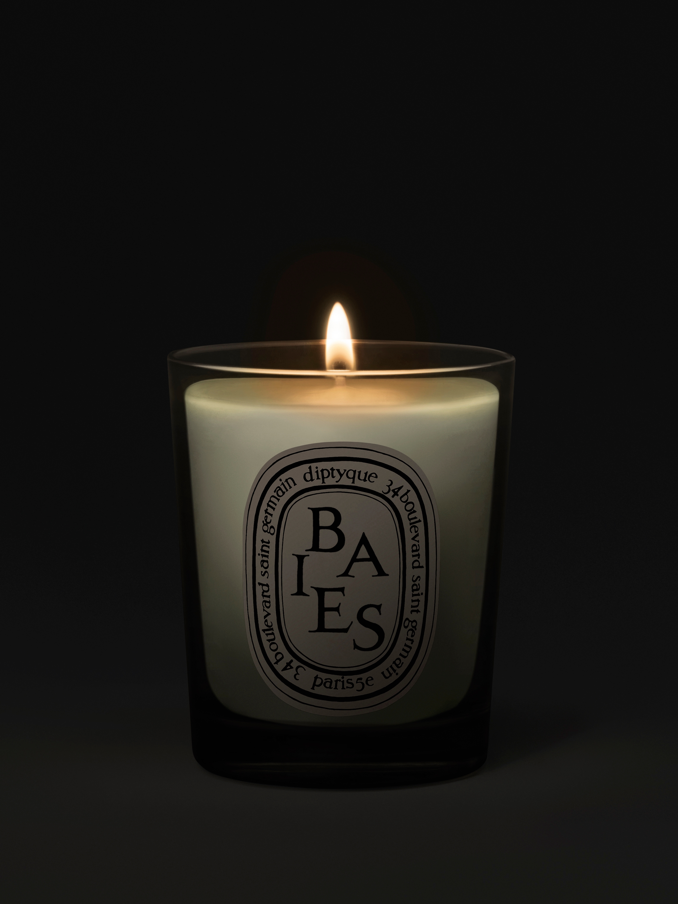 Baies / Berries Small Candle | Diptyque Paris