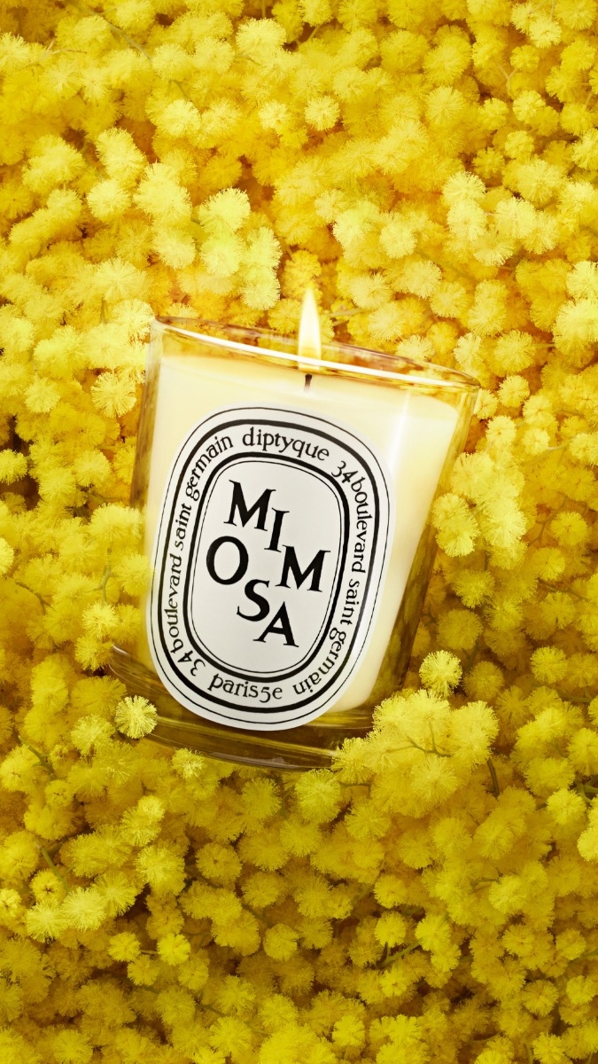 Mimosa - Small candle | Diptyque Paris