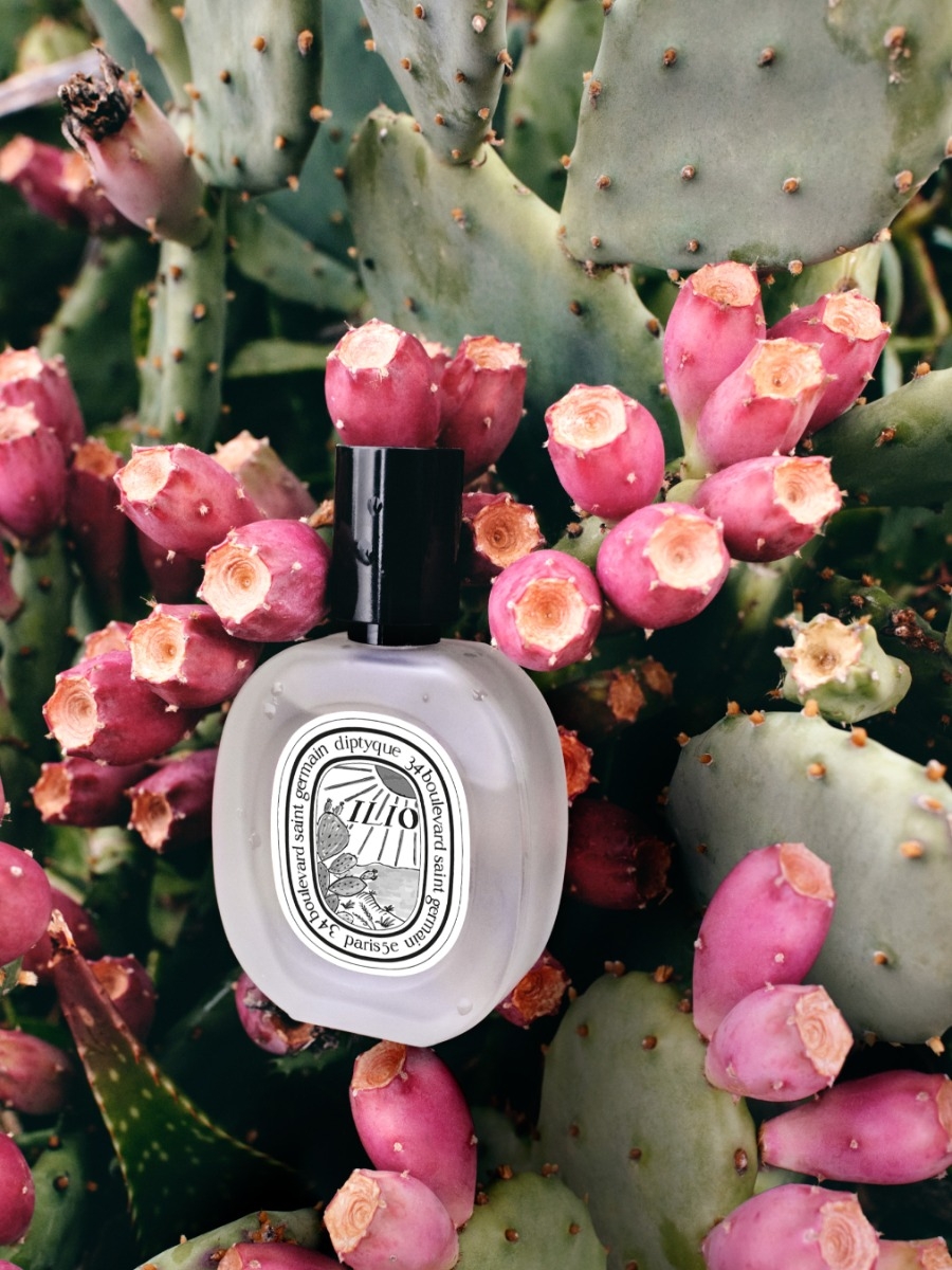 Ilio - Perfume para el cabello | Diptyque Paris