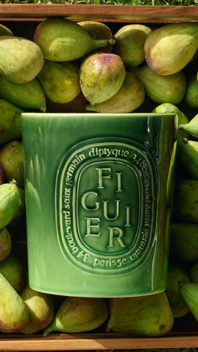Figuier / Fig Tree | Outdoor Scented Candle | Diptyque Paris | Diptyque ...